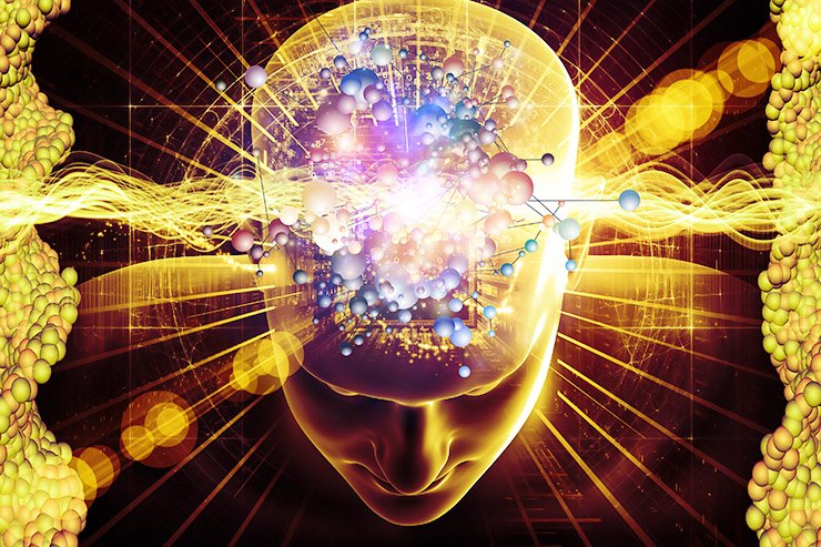 Extended Minds: The Mental Fields Within & Beyond Our Brains - New Dawn ...