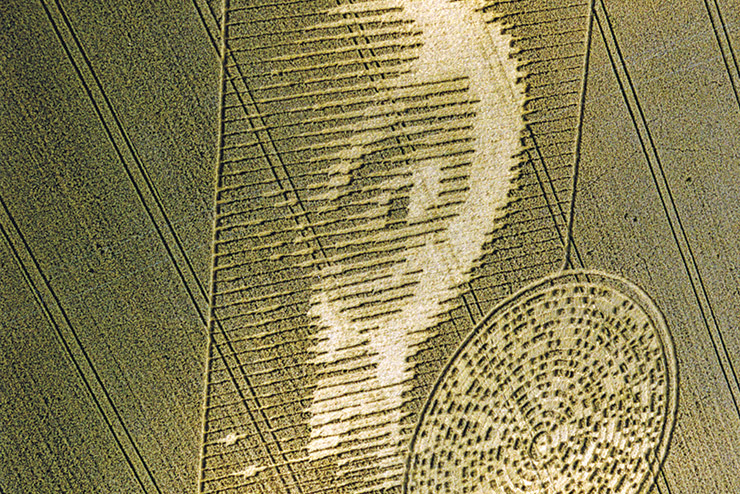 Crop Circles: Messages from Another World? - New Dawn – World’s Most ...