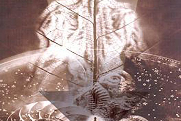 Human Devolution: Ascended Apes or Fallen Angels? - New Dawn – World's ...