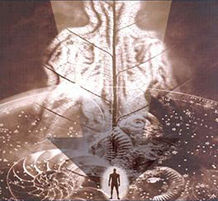 Human Devolution: Ascended Apes or Fallen Angels? - New Dawn – World’s ...