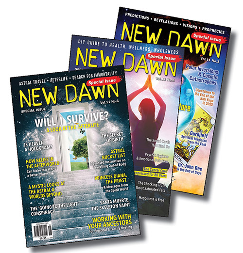 Subscribe to the PRINT edition – New Dawn: The World's Most Unusual ...