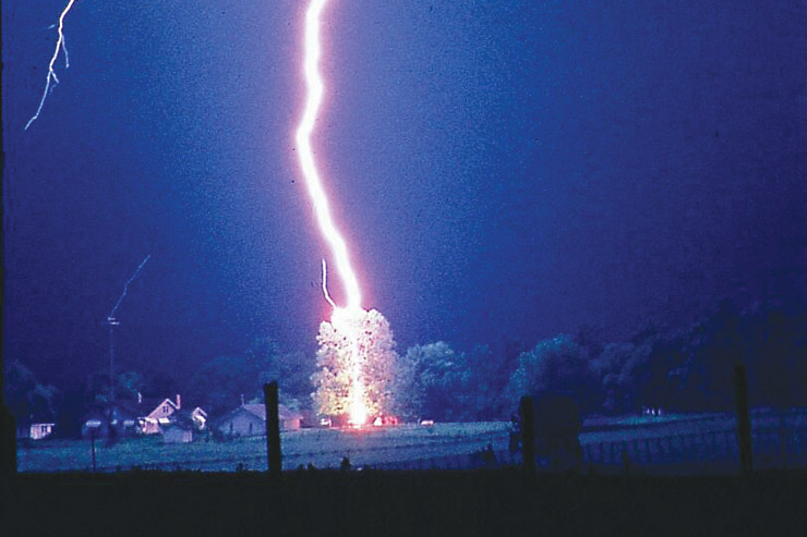 Transformed by Lightning: Real Life Stories - New Dawn – World’s Most ...