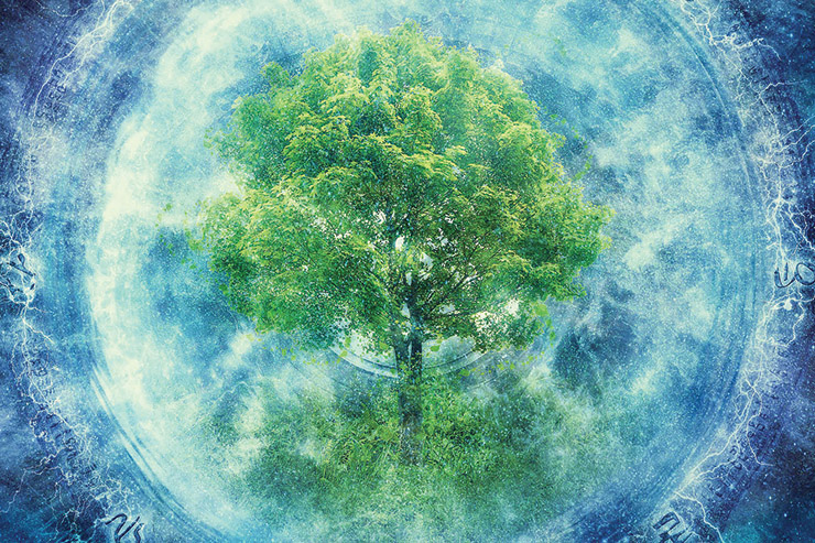 The Science of Plant Intelligence Takes Root - New Dawn – World’s Most ...